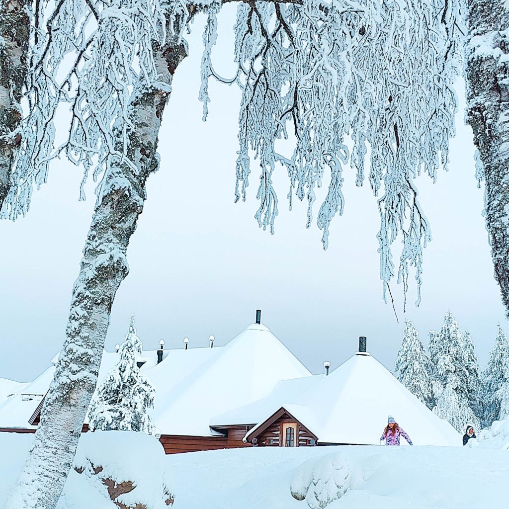 Talvi 15.12.–31.3. | Rovaniemi | Sesonki