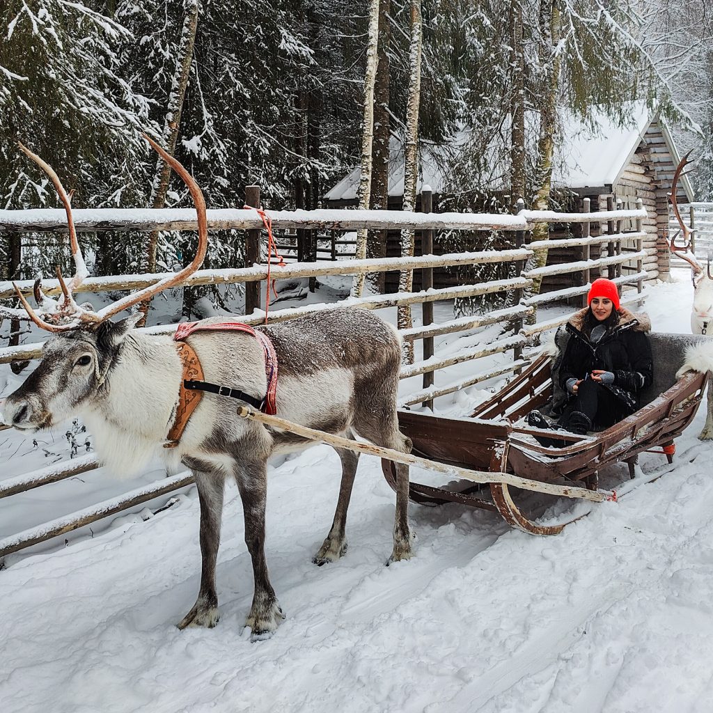 Visit to a Reindeer Farm and Sleigh Ride | Rovaniemi